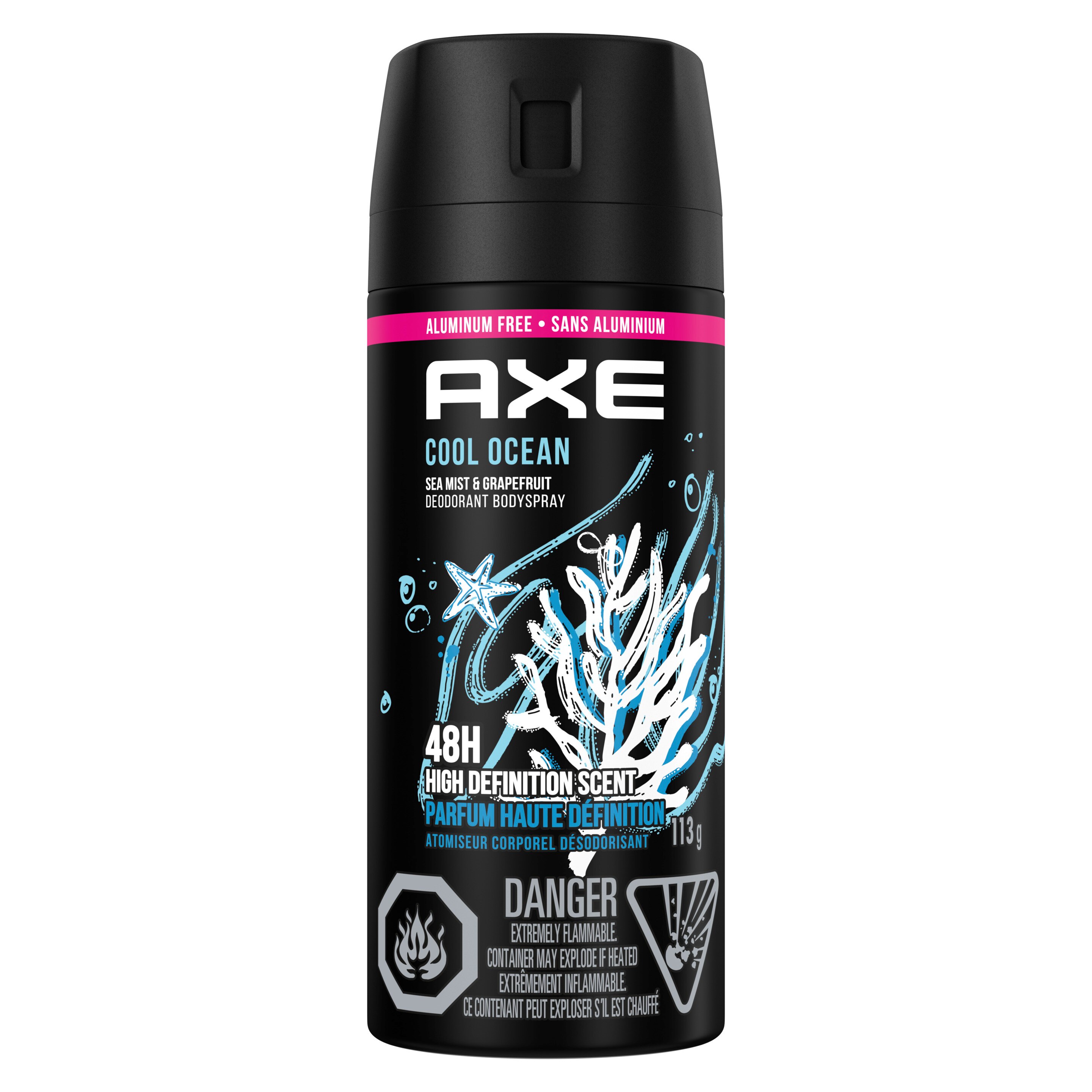 AXE Cool Ocean Body Spray | Axe