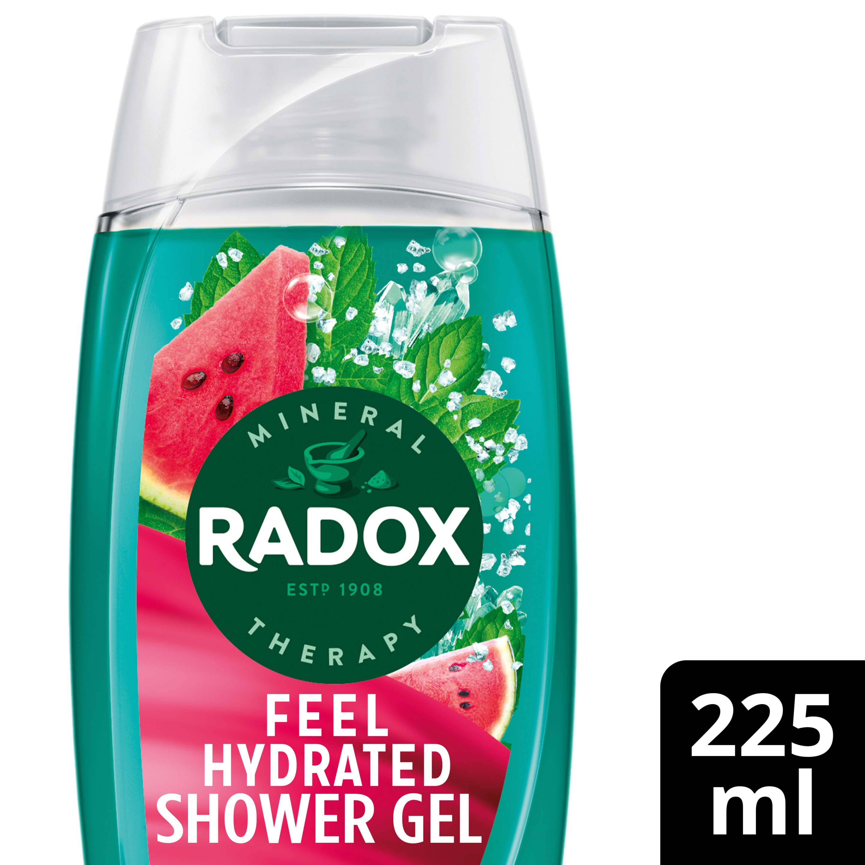 Radox Feel Hydrated Shower Gel 225ml Radox Feel Hydrated Shower Gel 225ml
