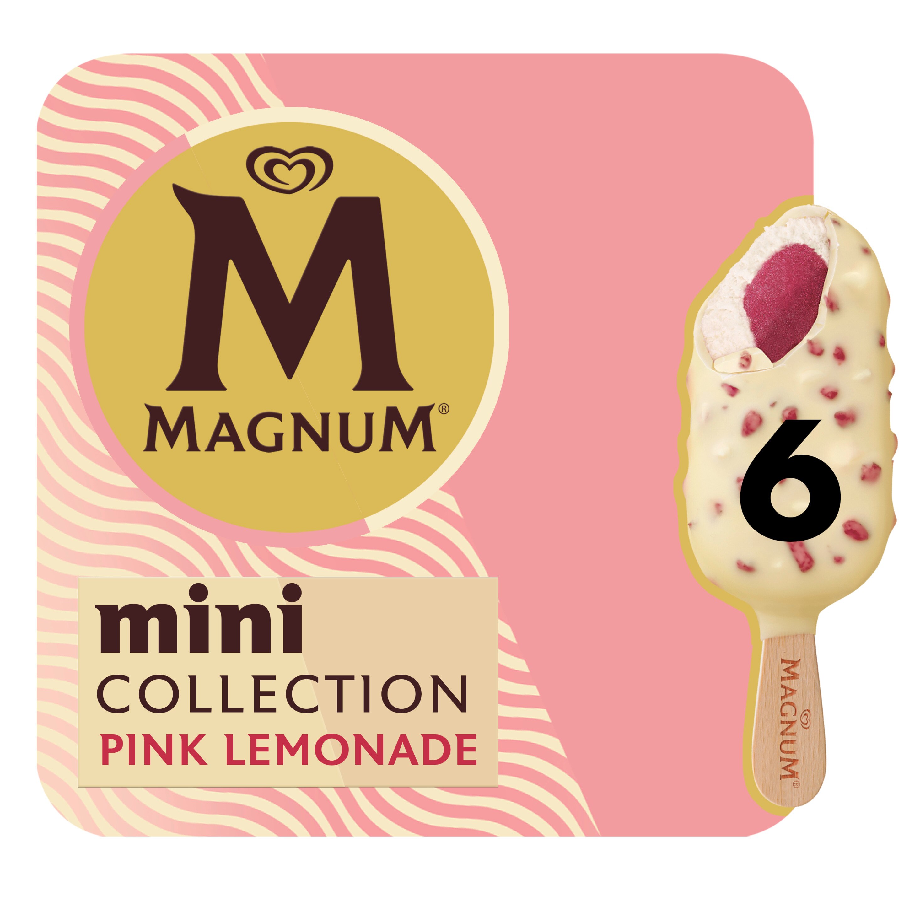 Magnum IJS Euphoria Mini 6x55ml | Magnum NL